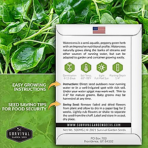Survival Garden Seeds - Watercress Seed for Planting - Packet with Instructions to Plant and Grow Nasturtium officinale in Your Home Vegetable Garden - Delicious Superfood Non-GMO Heirloom Variety