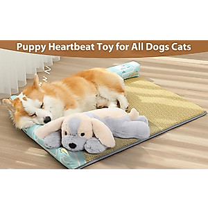CZTNNZK Heartbeat Puppy Toy for Anxiety Relief, Dog Behavioral Aid Toy for Puppies Sleep Aid Separation Anxiety Soother,Newborn Puppy Sleep Aid Plush Toy,Plush Toys for Dogs.(Grey)