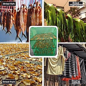 WEISGJA Hanging Drying Rack 4 Layers Foldable Nylon Netting, Folding Fish Mesh, Drying Fish Net for Shrimp Fish Fruit Vegetables Herb, with Zipper Opening, Green (22.4X15.7X25.5 in/Large)
