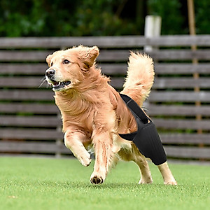 VANYONI Dog Knee Brace for Torn ACL Hind Leg Dog Leg Braces for Back Leg Front Torn for Hip Dysplasia, Dog Arthritis, Luxating Patella