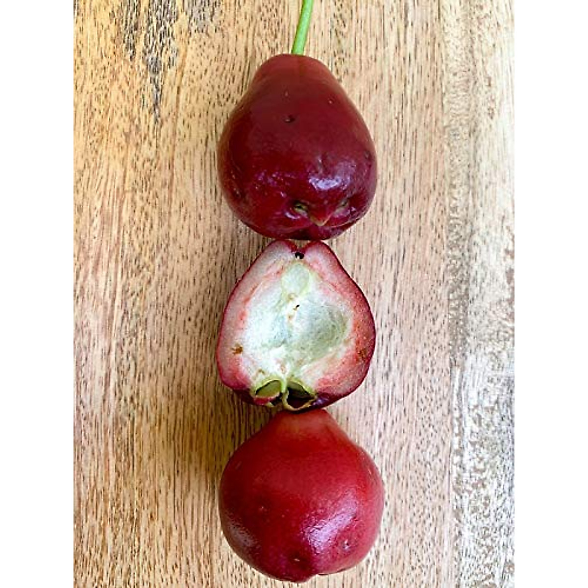 Purple Malay Apple Syzygium malaccense Fruit Tree Starter Potted Plant Very Rare