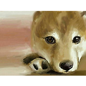 Shin Egokoro Kyoushitsu [Japan Import]