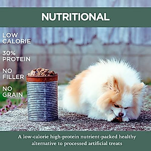 K9 Connoisseur Low to Odor Free Slow Roasted Beef Lung Dog Treats Made in USA, One Ingredient Dog Treats & All Natural Dog Treats, Grain Free Dog Treats for All Breeds & Sizes - 2.5 Pounds