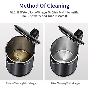 0.8L Small Electric Kettles Stainless Steel, Travel Mini Hot Water Boiler Heater, Double Wall Cool Touch Portable Teapot Heater, Auto Shut-Off & Boil-Dry Protection, 120V/800W, 2 Year Warranty