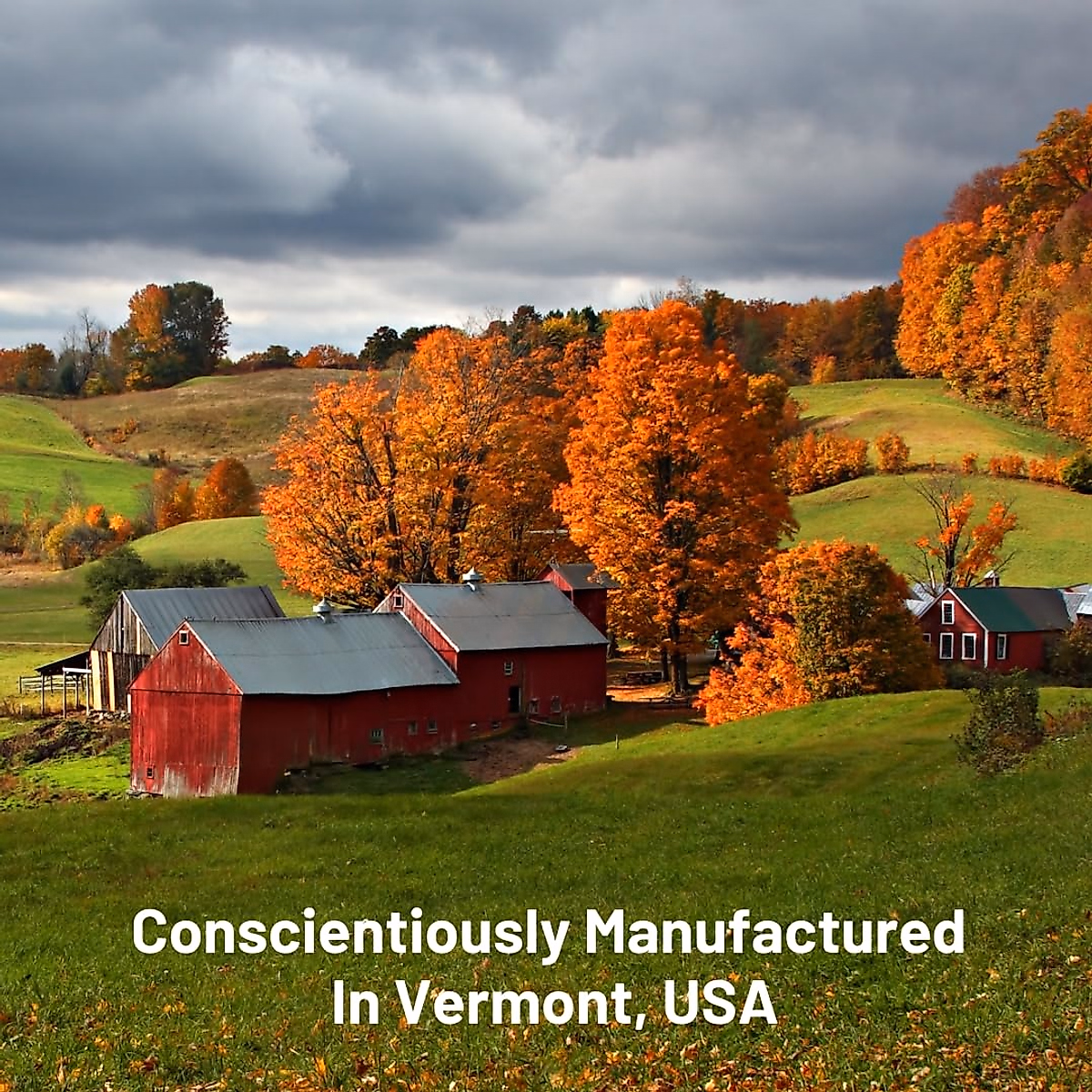 Penguin Pottery - Premium Ceramic Wax Resist for Pottery Glaze, Ceramic Slip Clay, and Ceramic Glazes - Alternative to Latex Resist for Pottery - Ceramic Sealant for Pottery - 1 Pint | 473 ml