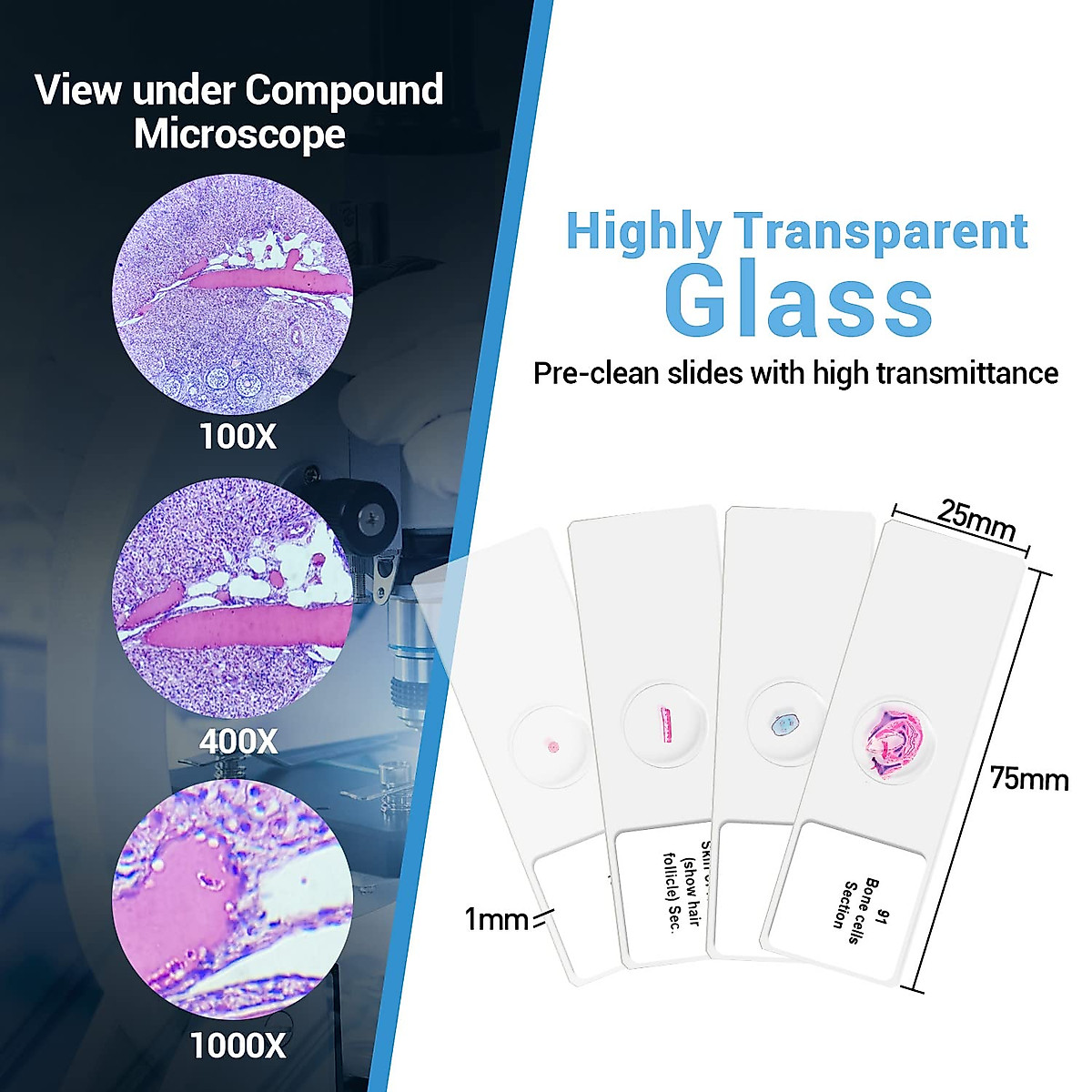 100Pcs Prepared Microscope Slides Set Professional Specimens for Kids Student Homeschool Use