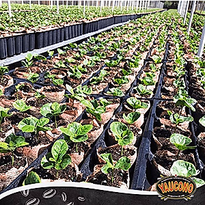 Yaucono Ground Coffee, Medium Roast, 10 Ounce Can (Pack of 2)