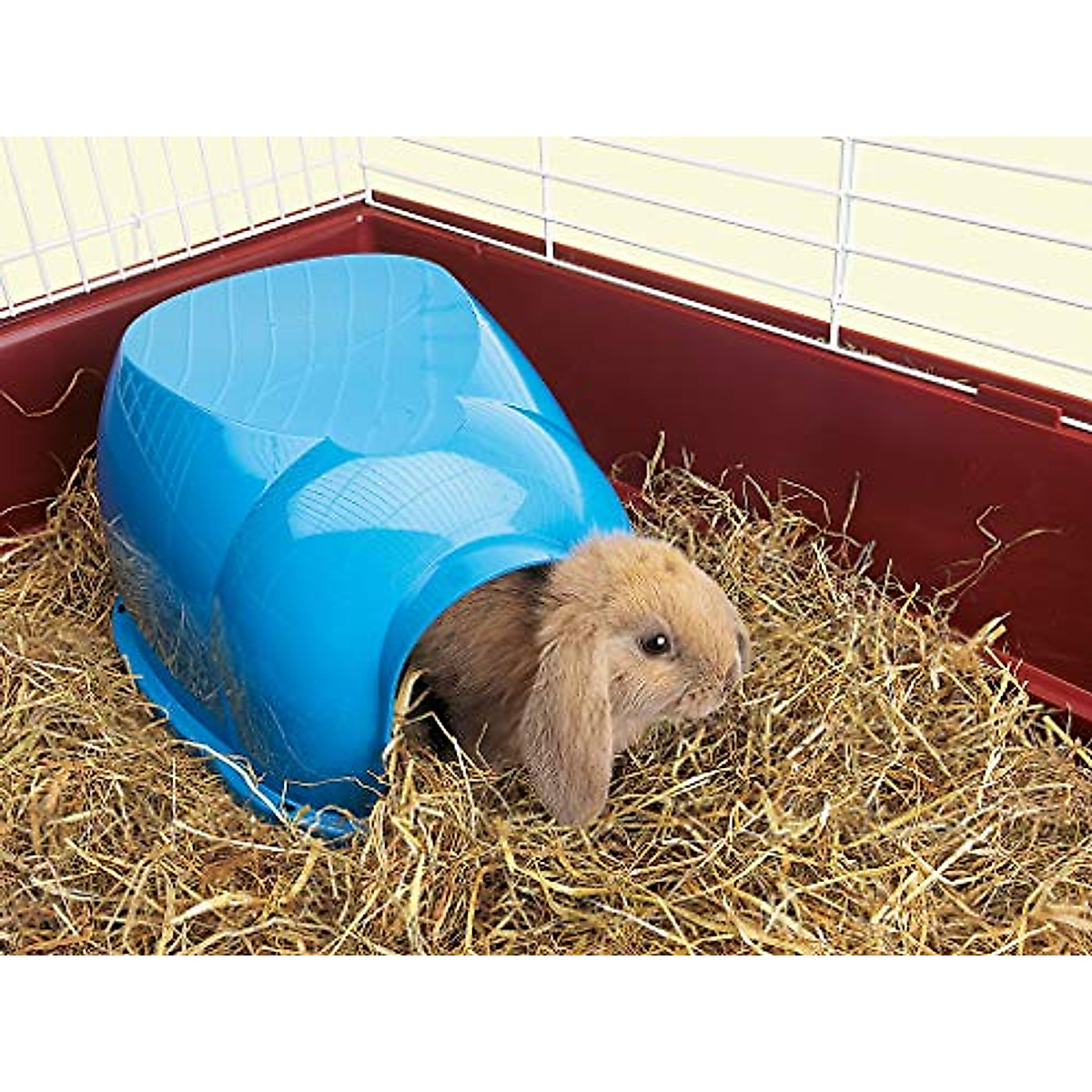 Nobby Rodent House Cocoon 34 x 26.5 x 16.0 cm, Green