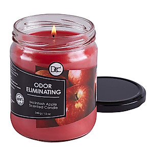 Mcintosh Apple Odor Eliminating Highly Fragranced Candle - Eliminates 95% of Pet, Smoke, Food, and Other Smells Quickly - Up to 80 Hour Burn time - 12 Ounce Premium Soy Blend