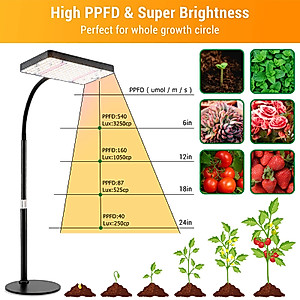 FECiDA Grow Lights for Indoor Plants Full Spectrum, Desk Grow Light, 4/8/12 Hr Timer Table Top Houseplants Grow Lamp, 208PCS LEDs, 2000 Lumen, Bright Enough, 16"-24" Height Adjustable