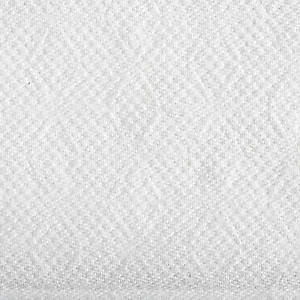 BigFold Z 20887 Paper Towels, 10-2/5-Inch x10-4/5-Inch, 220 Towels/PK 10PK/CT, White