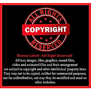 2 x Vinyl Self-Adhesive Stickers Hangover Baby on Board Decal Funny Blue Car Window Auto B 168