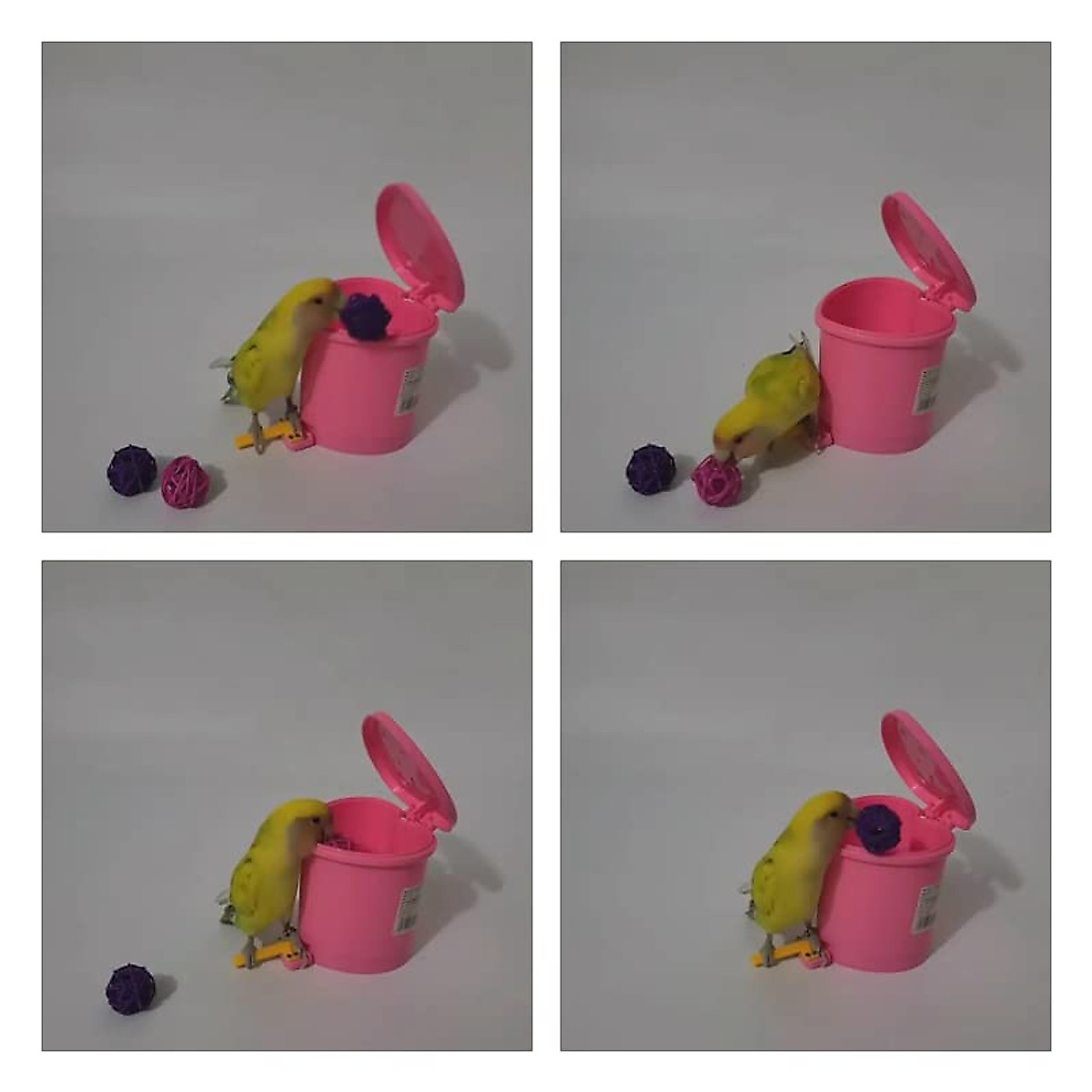 YANQIN Parrot Puzzle Toys, Trick Prop Training Education Interactive Toys for Parakeets, Conures, Cockatiels, Budgies, Lovebirds Bird Intelligence Training Toy for Small and Medium Birds