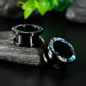 KUBOOZ Gauges For Ears, Surgical Steel Plugs, Flesh Stretchers Earrings, Size 2g to 1 Inch Black Screw Tunnels Piercing.