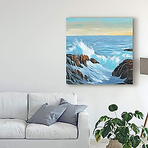 Trademark Fine Art Rip Tide II by Tim Otoole, 24x24-Inch, 24x24