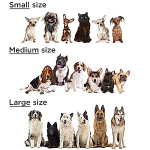 SIMENA No Shake Ear Wraps for Dogs, Stretchy Dog Ear Muffs, Dog Ear Cover Against Flap, Stressing Effect of Loud Noise, Head Wrap to Keep Your Dogs Ears Warm (Small (10-14" x 6"), Grey)