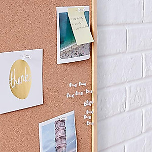 Amazon Basics Push Pins Tacks, Clear Plastic Head, Steel Point, 200-Pack