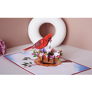 PQ Bees Pop Up Birthday Card for Women Mom Grandma Wife | 3D Mothers Day Valentines Day Christmas Card for Women Aunt Sister Wife, Friend Birthday Cards (Size 8x6 In - Cardinal Nest).