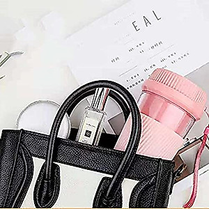 300ml Personal Blender, Travel Juicer Cup with USB Rechargeable, Mini Portable Blender for Shakes, Smoothies, Fruit (Pink)