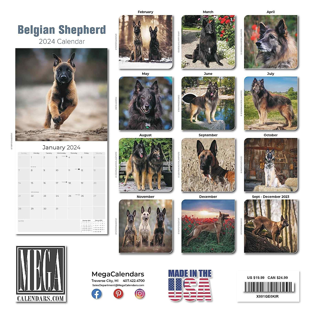 2023 2024 Belgian Shepherd Calendar - Dog Breed Monthly Wall Calendar - 12 x 24 Open - Thick No-Bleed Paper - Giftable - Academic Teacher's Planner Calendar Organizing & Planning - Made in USA