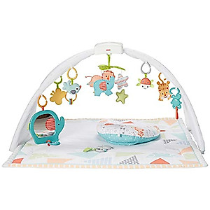 Fisher-Price Safari Music & Lights Gym Tummy Time Playmat with Take-Along Toys for Newborns from Birth and Older