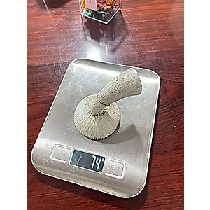 Aozhen Floating Floating Whimsical Mushrooms Living Wall For Bedroom Shelves Hanging Resin Crafts Mounted Shelf Shelf Decoration Wall Room More And Bathroom Simple Human Drying Rack