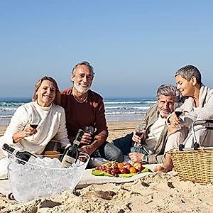 Ice Bucket - Ice Buckets for Parties - Clear Acrylic Champagne Bucket with Easy-to-Carry Handles - Long and Narrow 5.5 Liter Clear Bucket - Fits 3 Wine / 5 Beer Bottles (1)