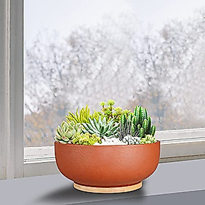 SQOWL 10 Inch Large Terracotta Planter Pot,Clay Succulent Bonsai Planter with Drainage Hole and Bamboo Saucer for Indoor Plants