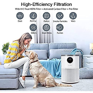 BLITZHOME Air Purifiers for Home, True H13 HEPA Filter, Air Cleaner Filter, Hands-free Voice Command,Pet hair，Cleans Spaces up to 1200 Ft, 360°Air Intake to remove 99.9% of Pet Allergies,Dust,Dander