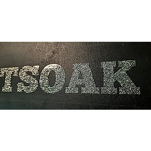 5" TITSOAK TEXT Silver Sparkle Glitter Vinyl Decal Perfect for auto, tablet, kindle, tumbler, mug and more Bite Me Vamp Vampire Fantasy