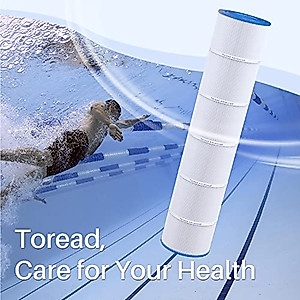TOREAD PJAN145 Pool Filter Replaces Jandy CL580, CV580, Unicel C-7482, Filbur FC-0820, A0104100, R0357900, Filbur FC-6415, SD-01109, 145 sqft Filter Cartridge 4 Pack