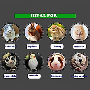 QBLEEV Hamster Chew Toys for Teeth, Wood Chew Sticks Stands Perches for Squirrels Rabbits, Cage Supplies Platform Stands for Birds Parrot Guinea Pigs Chinchilla 3- Pack