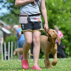 STMK Dog Treat Pouch Dog Clicker Training Kit, Dog Training Treat Pouch Dog Clicker for Training, 3 Ways to Wear Easily Carries Treat Pouches for Pet Training (Grey)