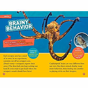 Ink! (National Geographic Geographic Kids Readers, Level 3): 100 FUN Facts About Octopuses, Squid, and More (National Geographic Kids Readers)
