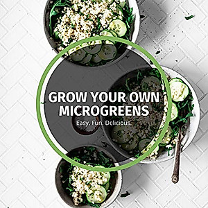 Chia Seeds - 4 Oz. Resealable Bag - Use for Indoor Gardening, Growing Microgreens & More - Micro Greens Salad Garden