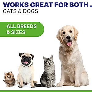 Liver & Kidney Support Supplement for Dogs & Cats - Liquid Milk Thistle Dogs Liver Detox - Canine Hepatic Care - Kidney Cleanse & Protection in Drops - Silybin for Dogs - 2 fl oz (60ml) - Made in USA