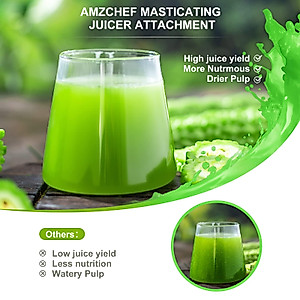 Masticating Juicer Attachment for KitchenAid All Models Stand Mixers,AMZCHEF Masticating Juicer, Slow Juicer Attachment for All KitchenAid Mixers, Cold Press Juicer Parts (Iron black)