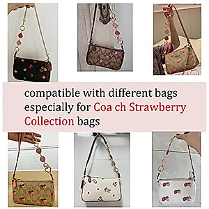 Bag Strap Extender Compatible with Coach Strawberry Collection Bags, Fashion Crossbody Purse Chain Strap Extender Extend Shoulder Strap Length, Stylish Strawberry Bag Charm (2 Red-Pink Strawberry)