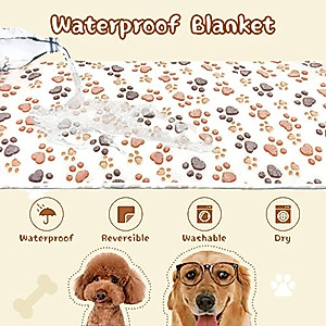 YUEPET Waterproof Dog Blankets, 2 Pack Washable Dog Blankets for Bed Couch Sofa Protector Fleece Flannel Puppy Blanket Soft Plush Reversible Throw Blanket for Small Dog Puppy Cat 30"×20"(White+Coffee)