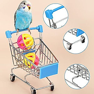 10 Pieces Bird Training Toys Parrot Training Toys Include Bowling Toy Basketball Toy Rings Shopping Cart Skateboard Bell Ball Parrot Intelligence Toys for Parakeet Cockatiel Macaw Parrot, Random Color