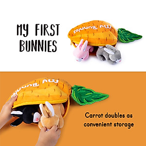 My Bunnies Plush Toy Set | Includes 4 Talking Fluffy Rabbits | Gray, Tan, Pink, and Black Bunnies with A Plush Carrot Shaped Carrier | Great Gift for Baby and Toddler Girls or Boys