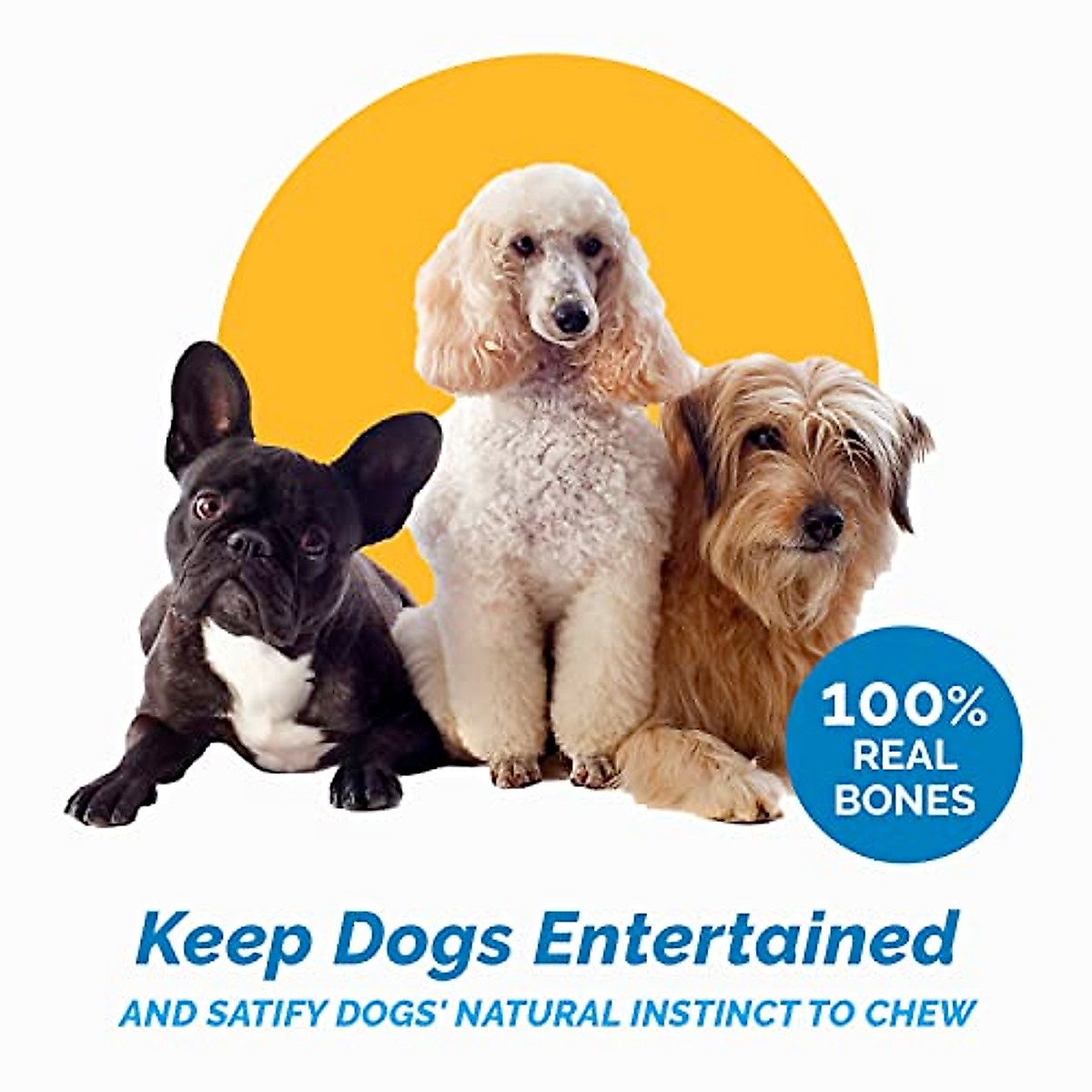 123 Treats Meaty Dog Bones, 100% Natural Knee Cap Beef Bone Dog Treats, No Additives, Made from Premium USA Grass Fed Beef, Tasty Long Lasting Chews for Dogs, Improve Oral Health, Pack of 10