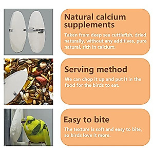 Jmxu's Cuttlebone for Birds, Natural Bird Calcium for Parakeet Cuddle Bone for Cockatiels Tortoise, 4.5 to 5.5 inch
