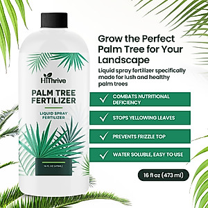 16oz Palm Tree Fertilizer, Premium Plant Food - Palm Fertilizer for Lush Growth of Palm Trees, Rich in Plant Nutrients Plant Fertilizer, Easy Plant Care Liquid Fertilizer - Water Soluble Fertilizer