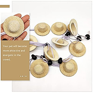 Lizard Bearded Dragon Hat 2Pcs Reptile Caps Helmet Clothes Costume Clothing Adjustable Top Hat Breathable Hawaiian Dog Headwear Headdress for Pet Small Animal Guinea Pig Gecko Hamster Ferret