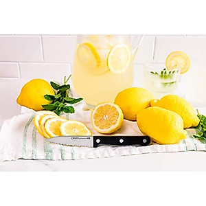 GINSU Kiso® Dishwasher Safe and Always Sharp, 18 Piece Black Knife Set with Black Block