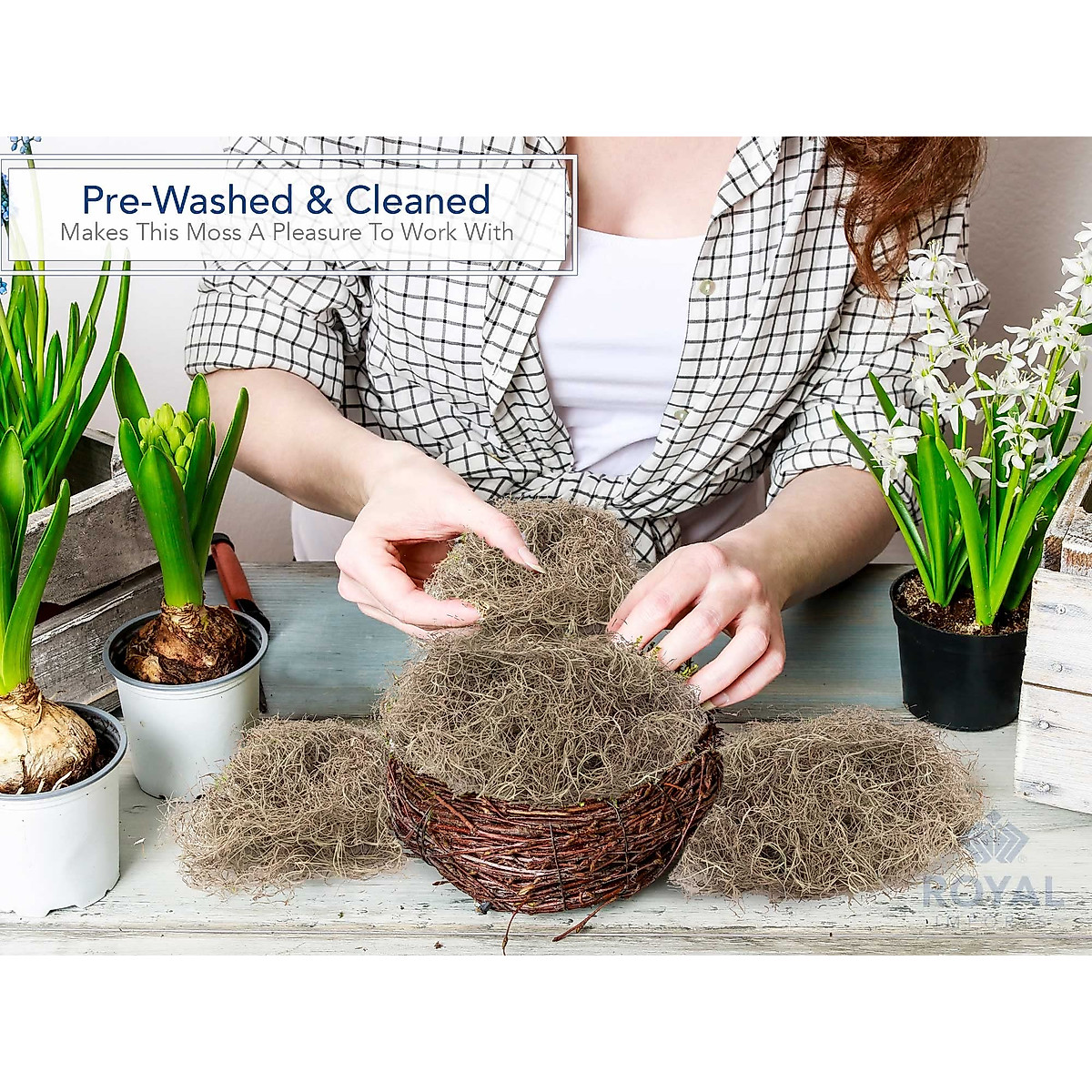 Royal Imports Preserved Natural Spanish Moss, Fresh Dried Shredded Loose Chunks, 2 LB Bulk Case