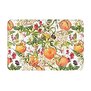 Welcome Rectangular Door Mat Watercolor Oranges with Green Leaves Entrance Way Rugs Doormats Soft Non-Slip Washable Bath Rugs Floor Mats for Home Bathroom Kitchen 16x24 Inch