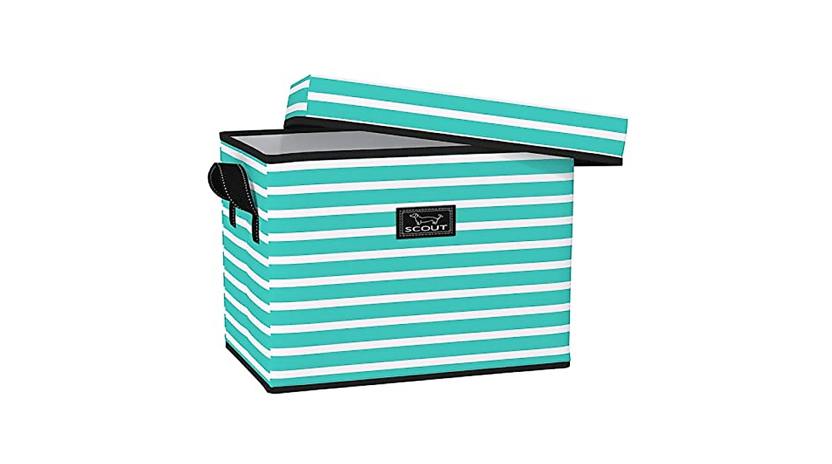 SCOUT Rump Roost MED: Stylish Lidded Storage Bin