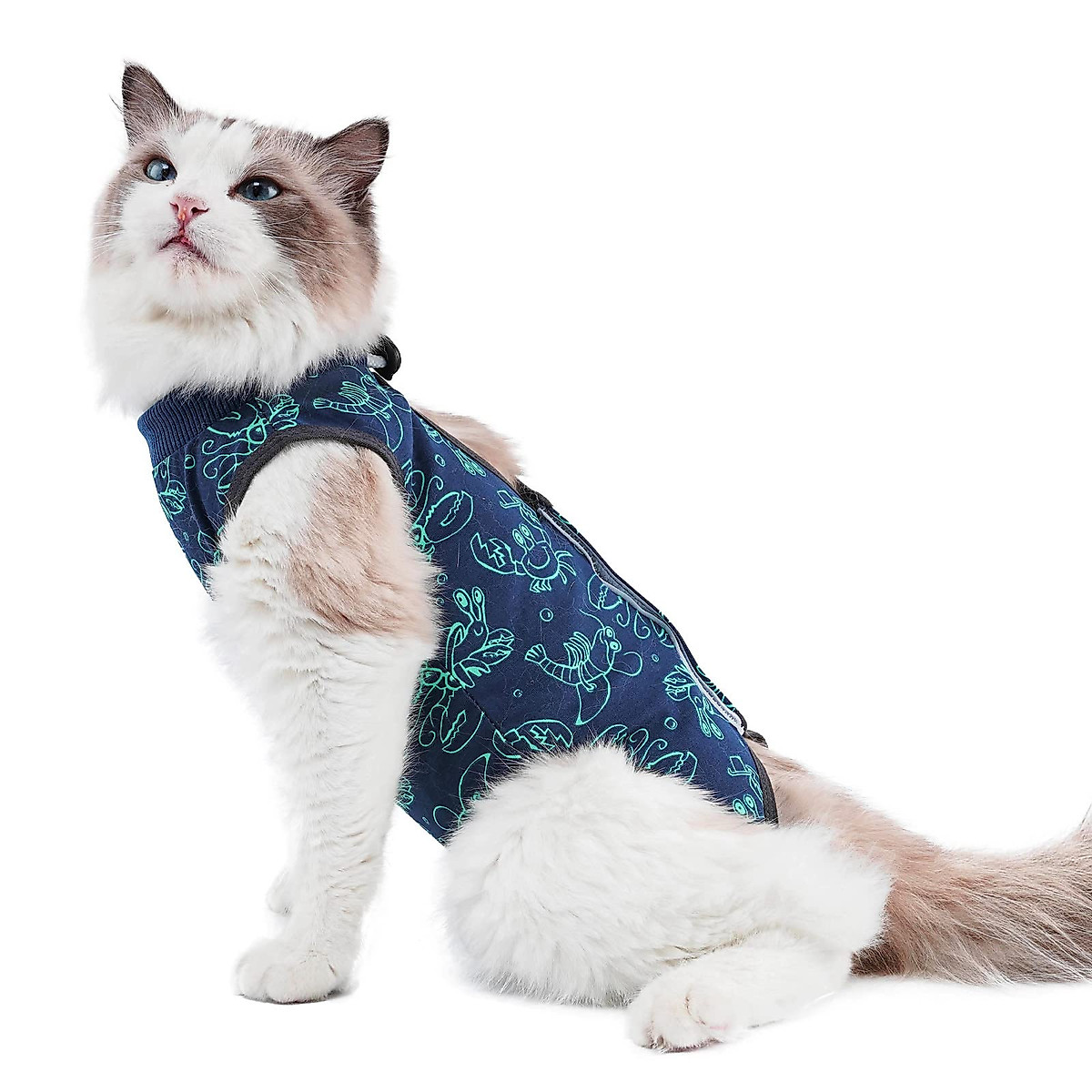 kzrfojy Cat After Surgery Recovery Suit / Onesie for Surgical Abdominal Wound Or Skin Diseases E-Collar Alternative Wear Cat Neutering Bodysuit Wear (Dark-Blue-M)